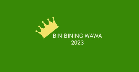 Binibining Wawa 2023 - Pageant Vote PH